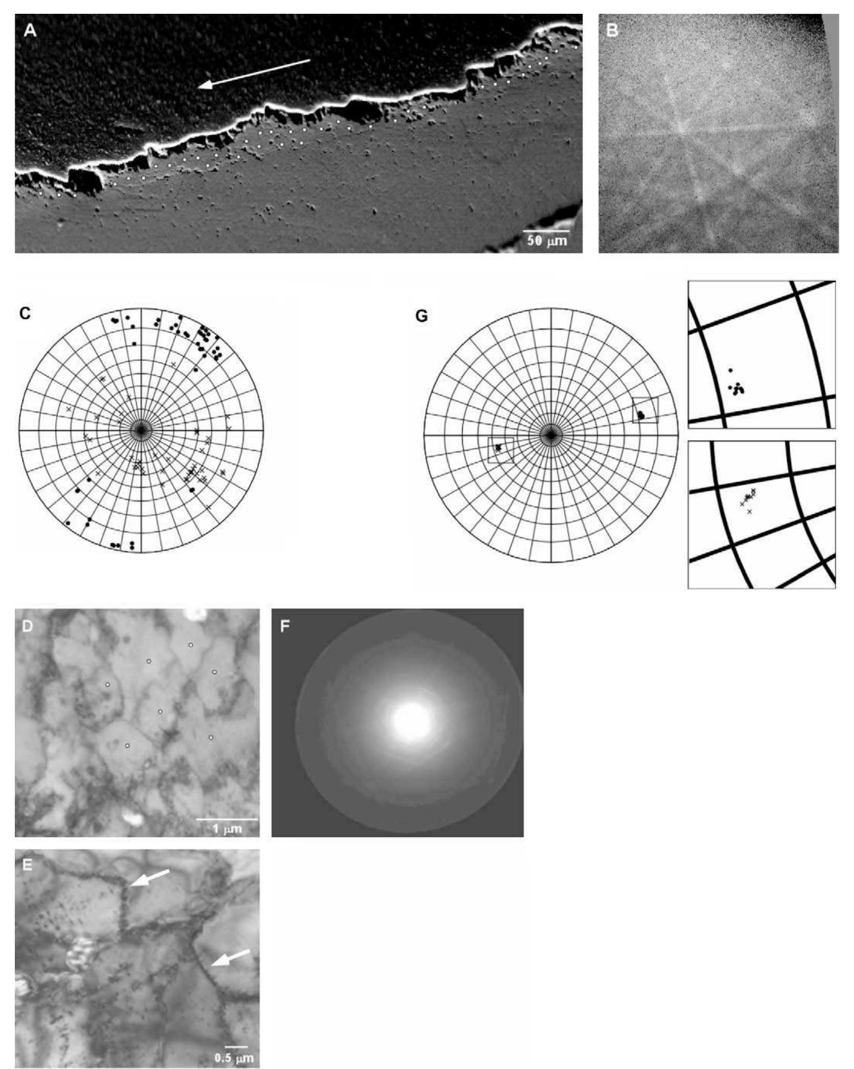 (a) sem image of the cross section of m+ 3 layer. the open