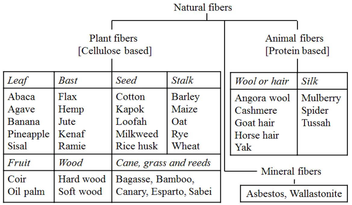 Classification of natural fibres natural fibres can be
