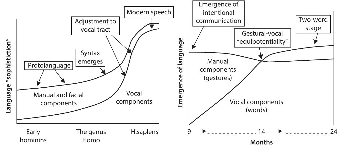 (PDF) Gestures and communicative development