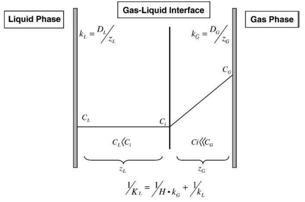 Schematic representation of the gas-liquid interface,