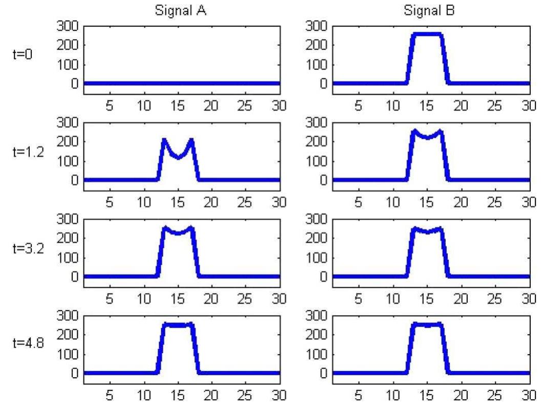 Evolution of the regularized fusion process between two 1-d