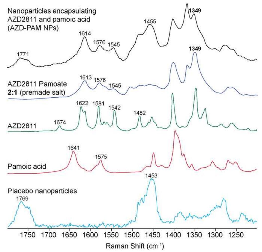 Raman spectra of single components (azd2811, pamoic acid),
