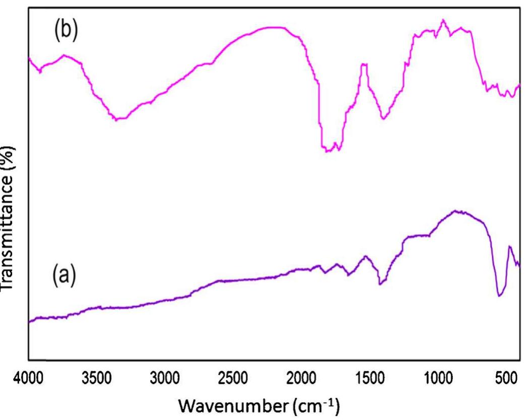 Ftir spectra of magnetic nanoparticles (a) bare magnetic