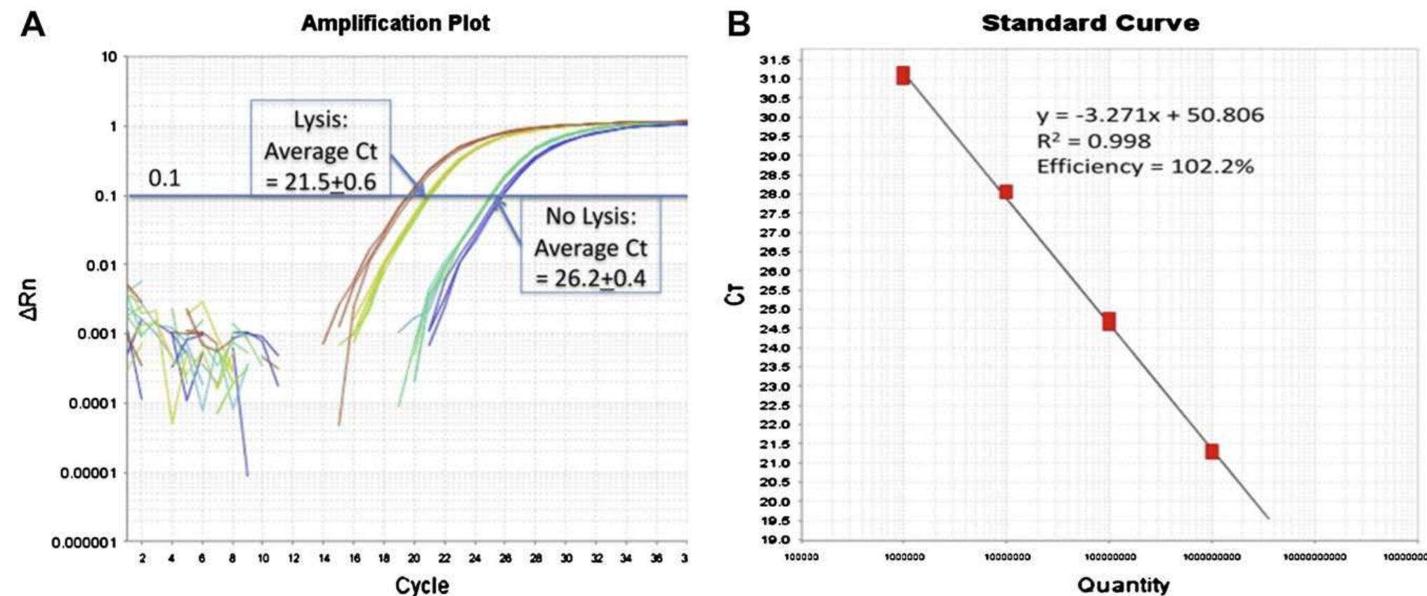 (a) real-time pcr amplification plot and (b) standard curve