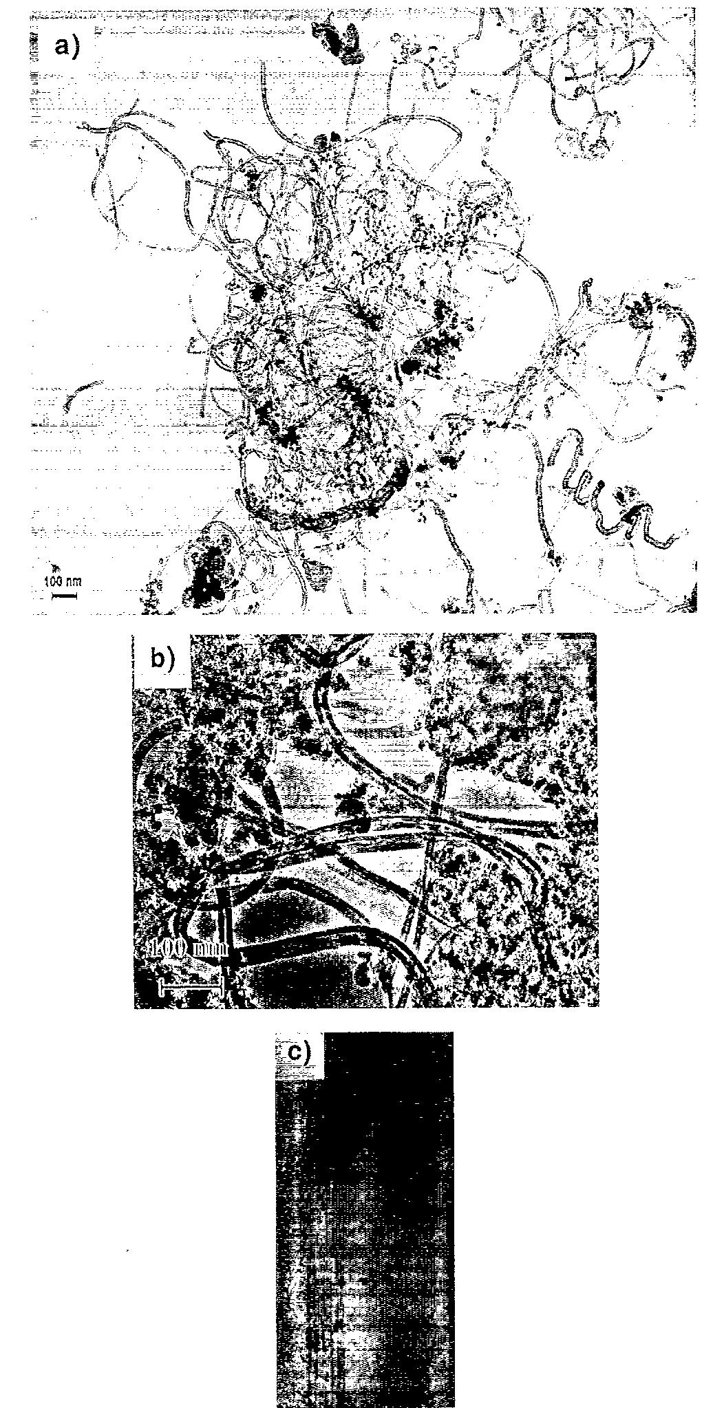 Electron microscopic images of carbon nanotubes of the