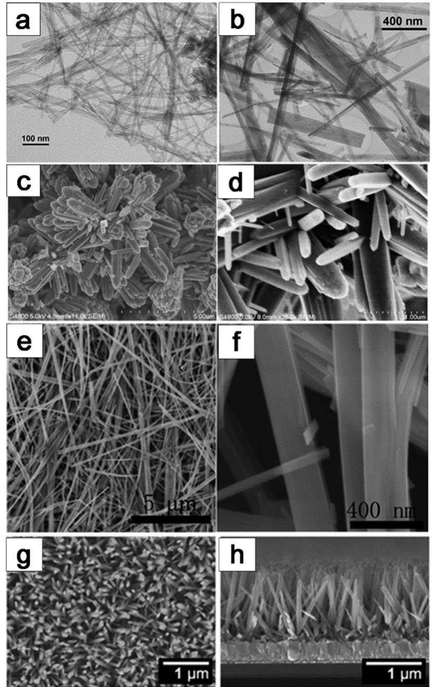 Different morphology types of 1d tioz nanostructures