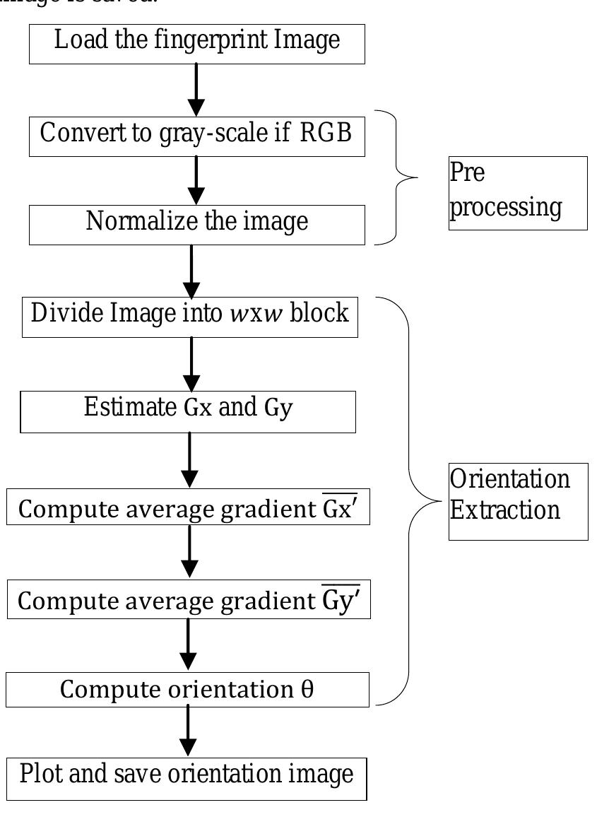 Flow chart for orientation extractior . results and dic