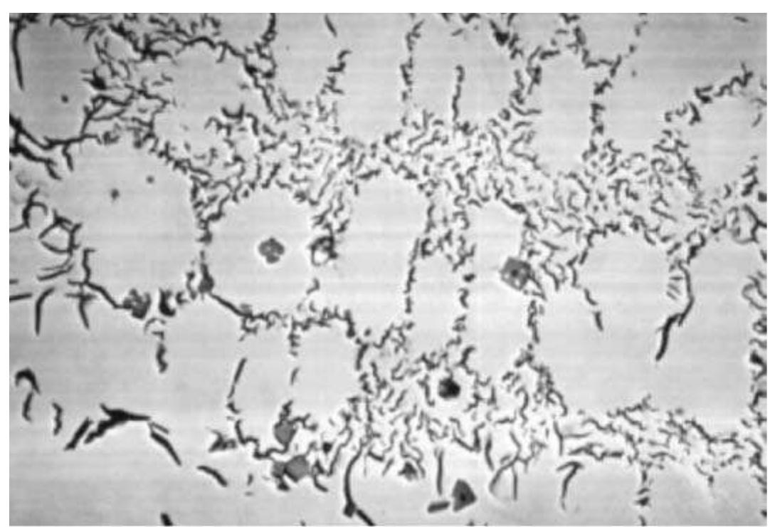(PDF) Inoculation of cast irons practice and developments Jan 08 Web
