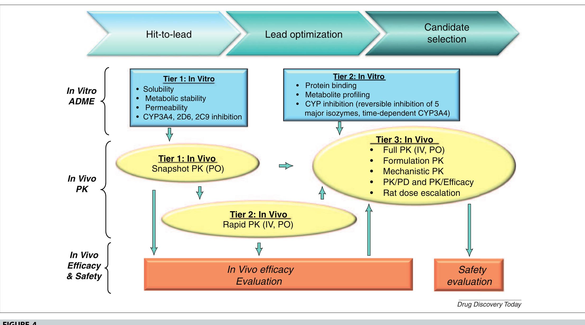 Schematic illustration of how each of the tiered in vivo