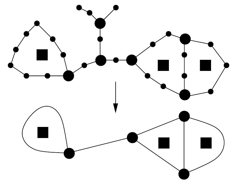 Typical triangulation graph and its reduced form