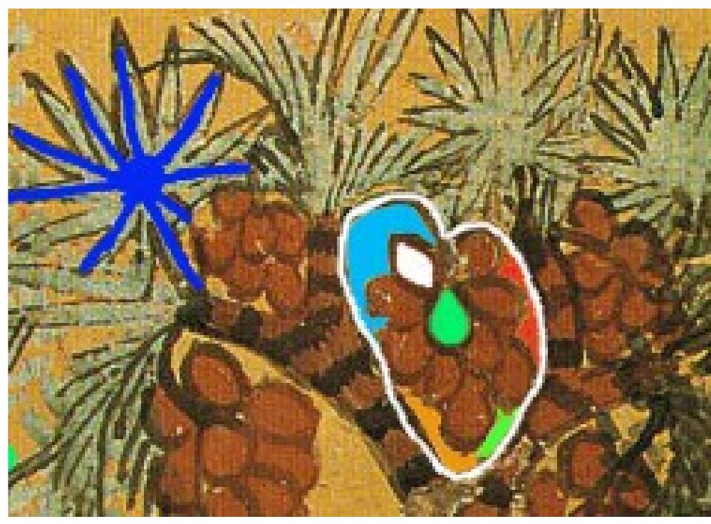 Illustration 16: tree five the fourth tree is similar in