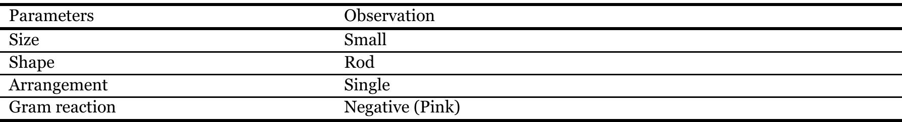 Of the organisms on pca agar (24 hour) and pda (72