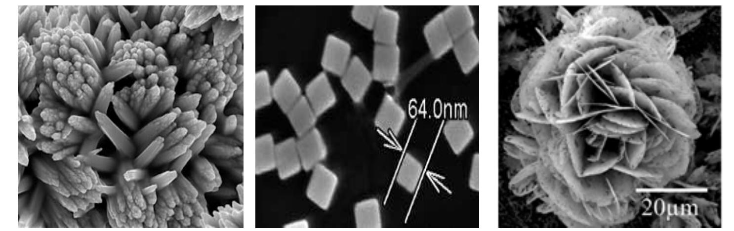 Titanium nanoflower silver nanocubes