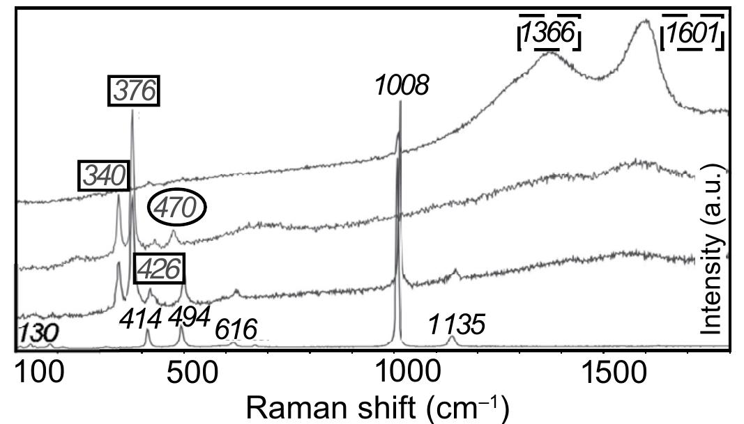 From the bottom to the top, raman spectra of gypsum with