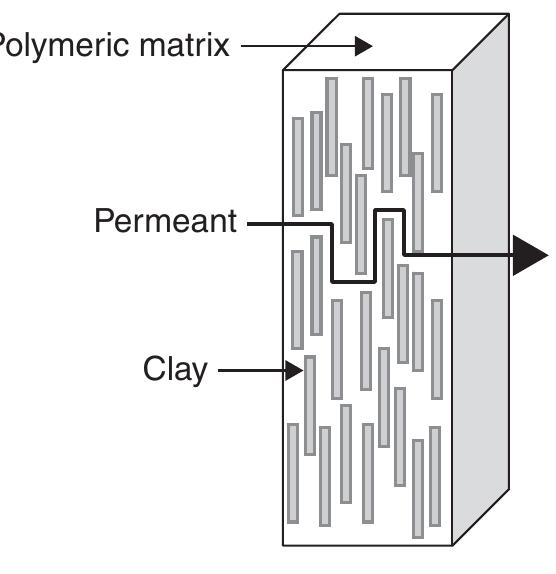 Figure 2 - from Nanotechnology in Food Applications