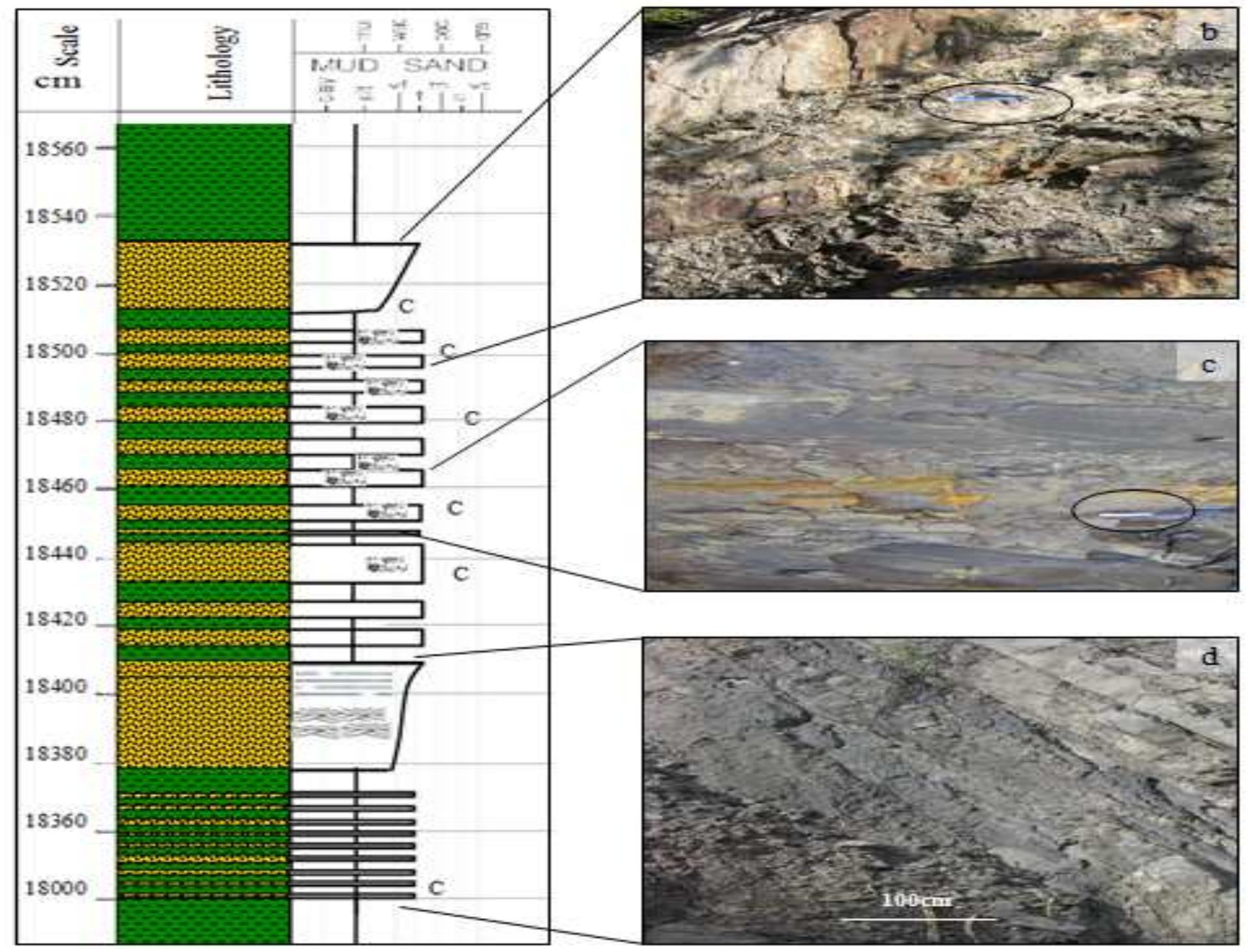 A) sedimentlogical log of muddy tidal flat sediment b) thin
