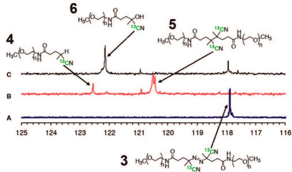 Comparison of portions of the '*c nmr spectra of polymer 3