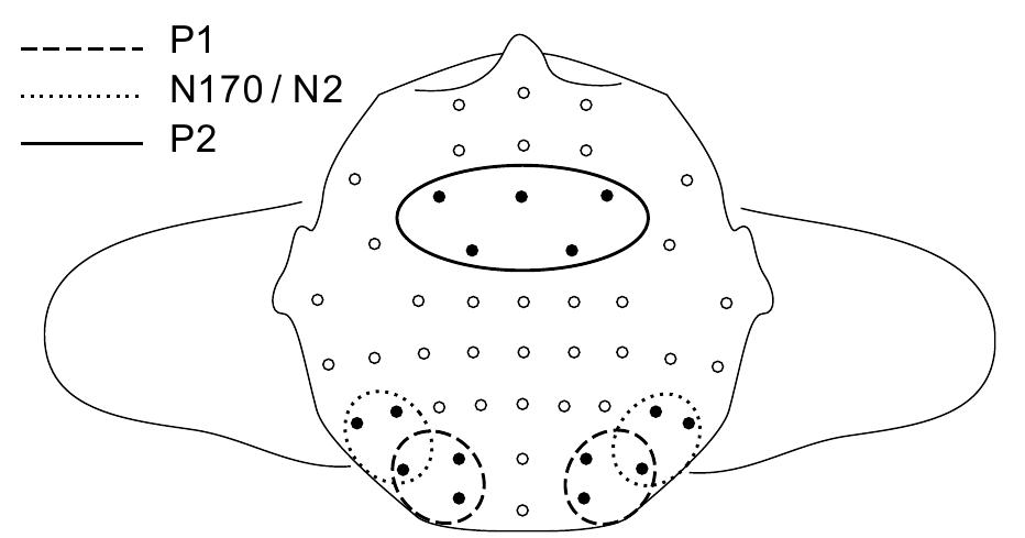 Scalp locations on which visual p1, visual n170, auditory