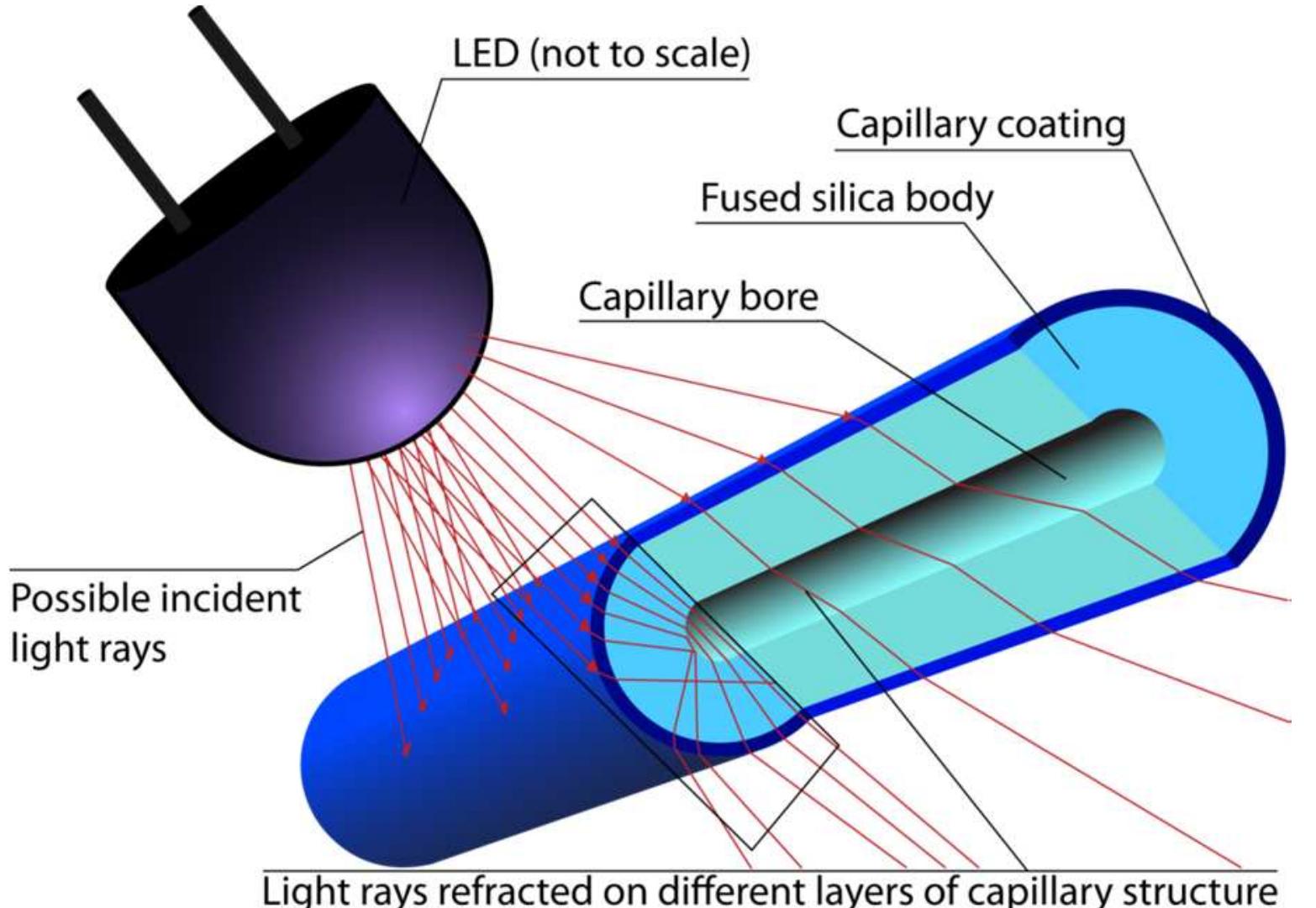Schematic of a capillary cross-section illuminated by a beam