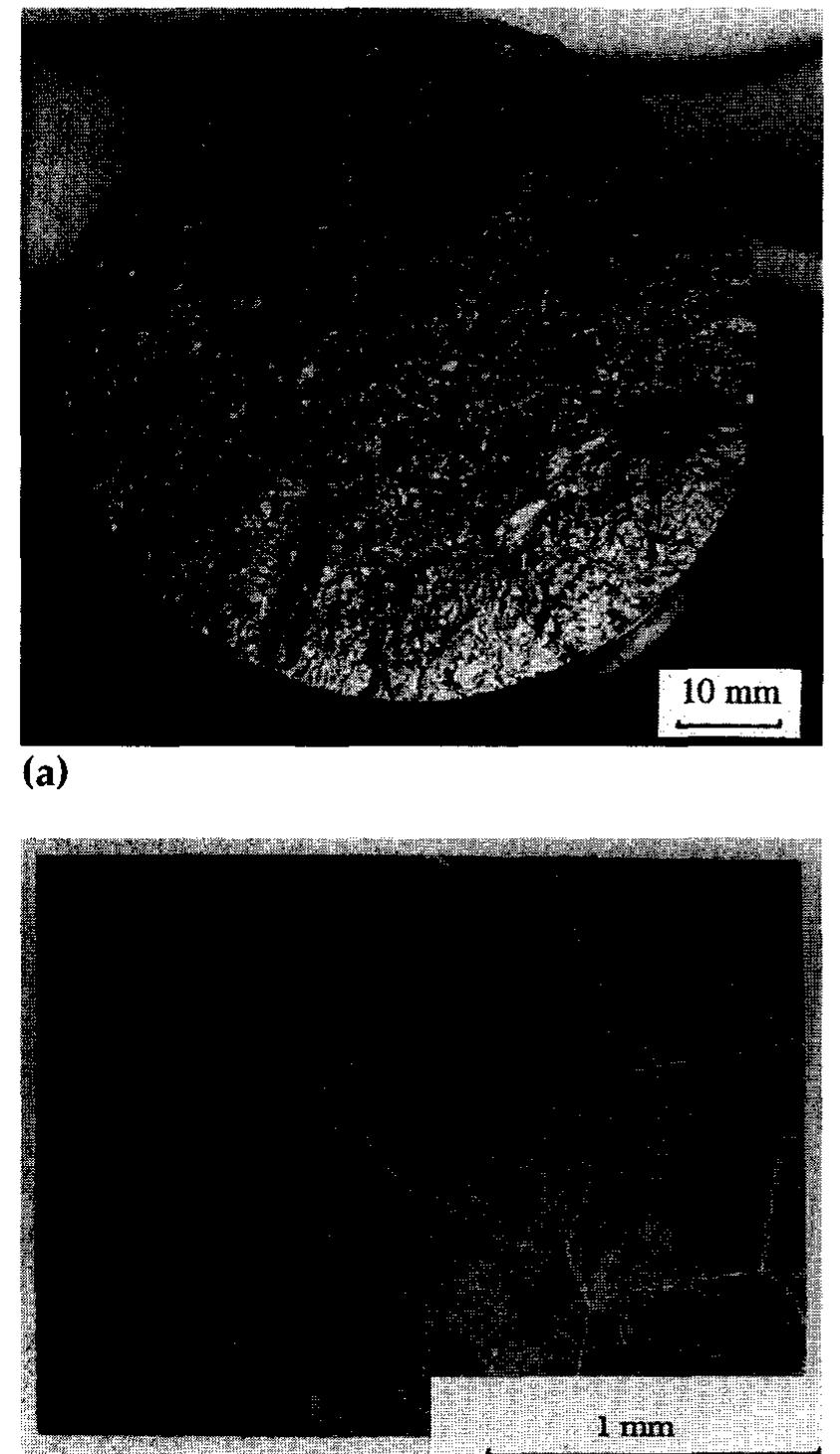 Fic 10 Fracture Surface A And Microstructure B Of A
