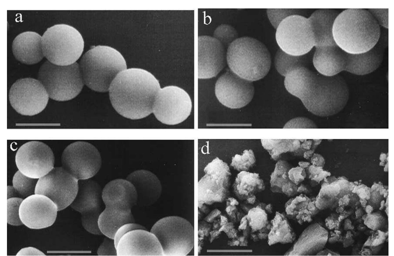 Sem images of mesoporous sioz obtained at: (a) 80°c for 5h