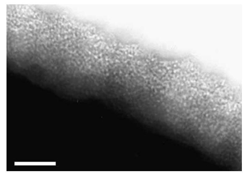 Tem image of mesoporous silica spheres si02-2. scale bar: