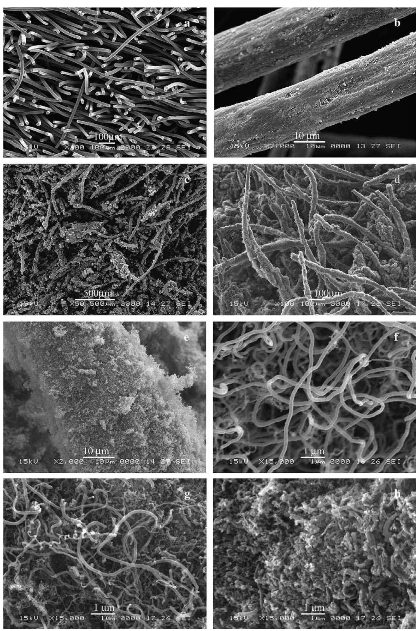 Typical sem images of graphite fibers and carbon nanofibers