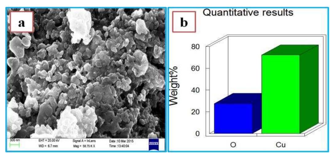 (a) fe-sem image of cuo nanostructure and (b) bar diagram of