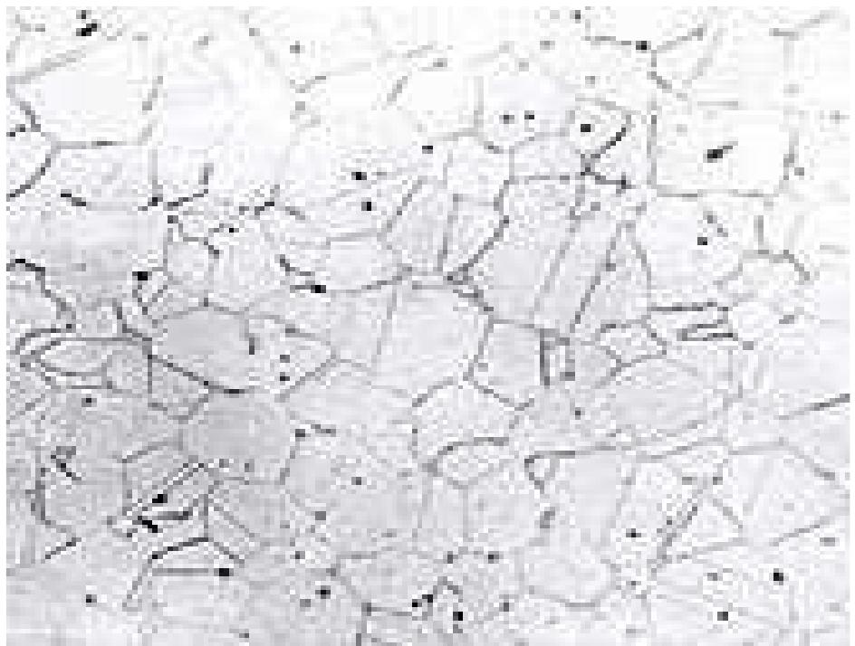 Figure 2 - from Electrodeposition of hydroxyapatite coating