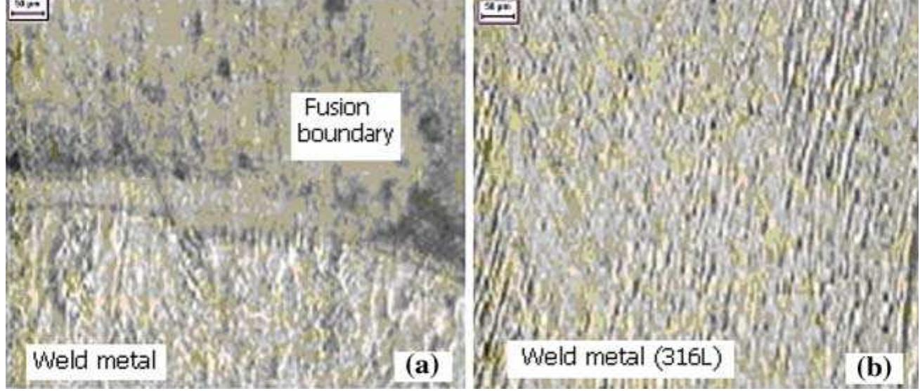 (a) and (b) microscopic view of the weldment (100x)