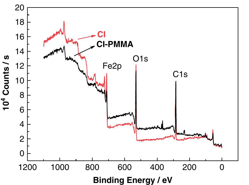 Xps spectra of cl and ci-pmma particles.