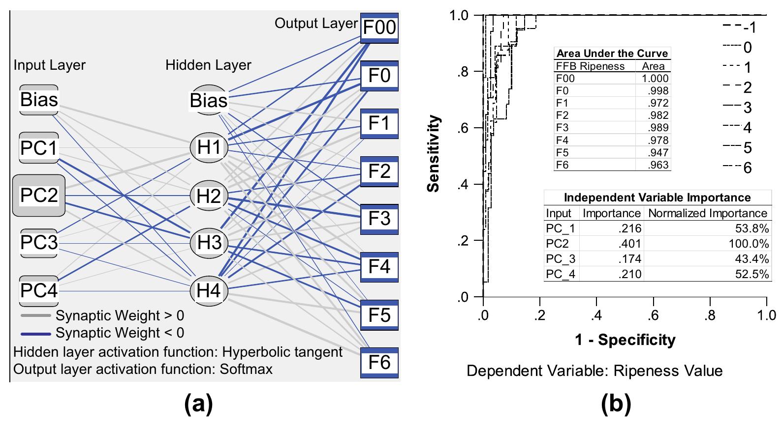 (a) mlp network diagram of ffb ripeness model, and (b) model