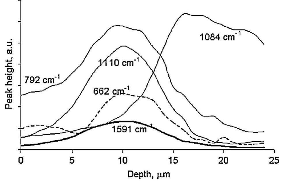 Confocal raman spectrum of a calendered sample [49].