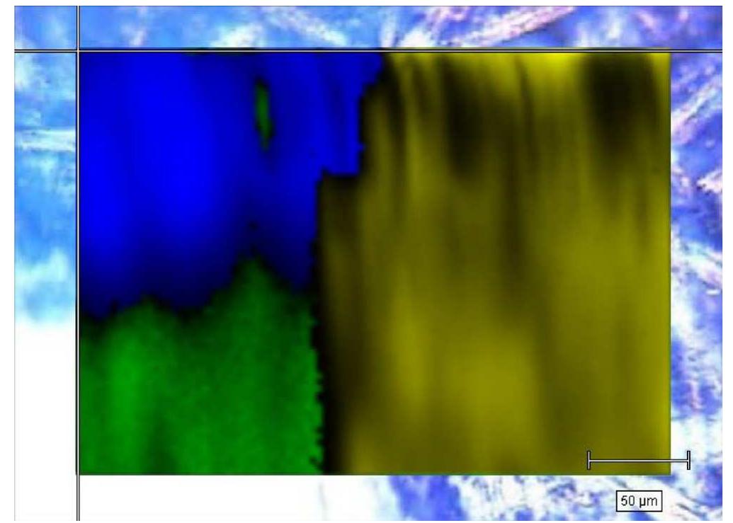 2d color map of the pca correlation analysis of the