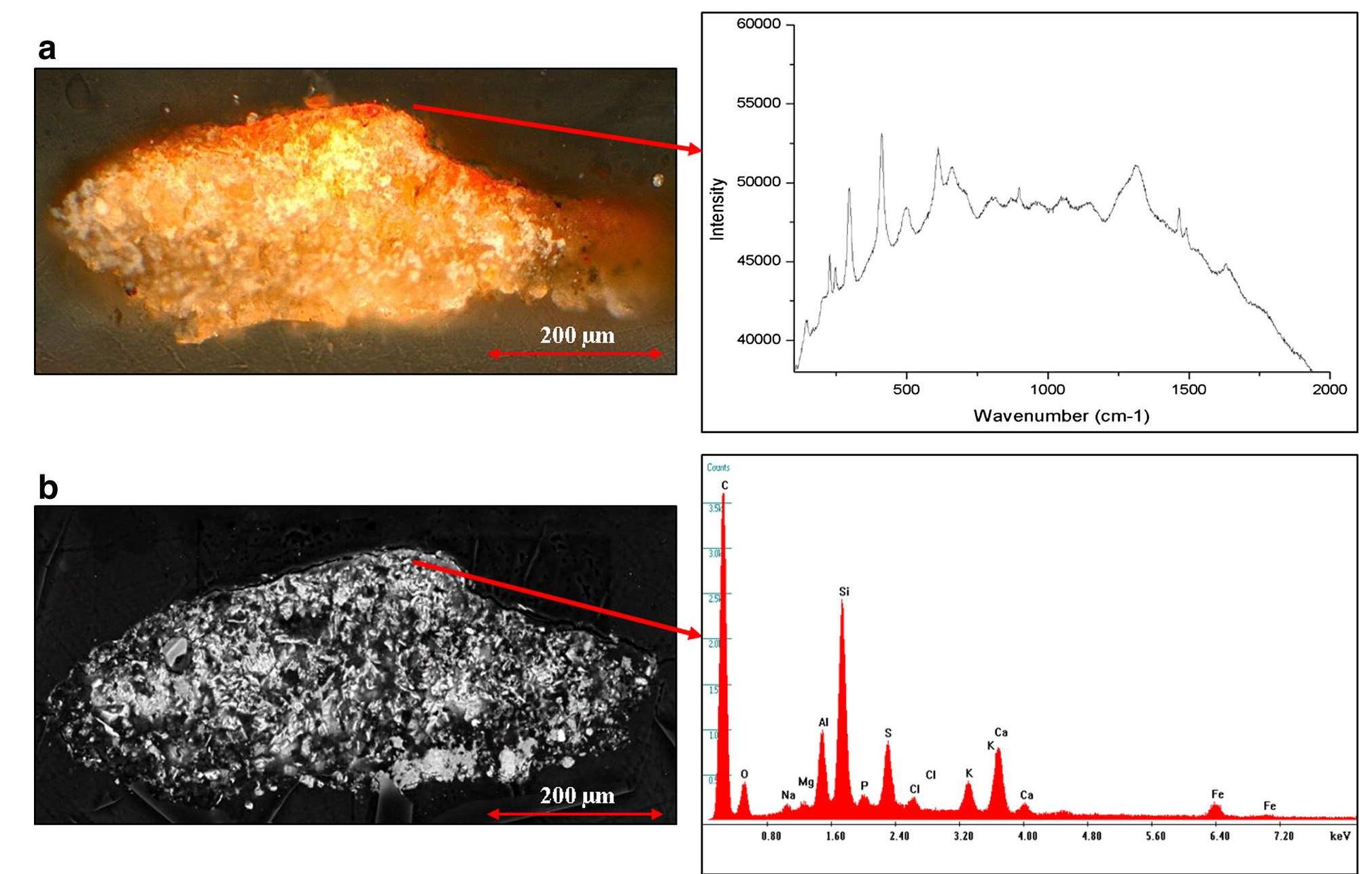 Analysis of the red sample cross section with a) micro-raman