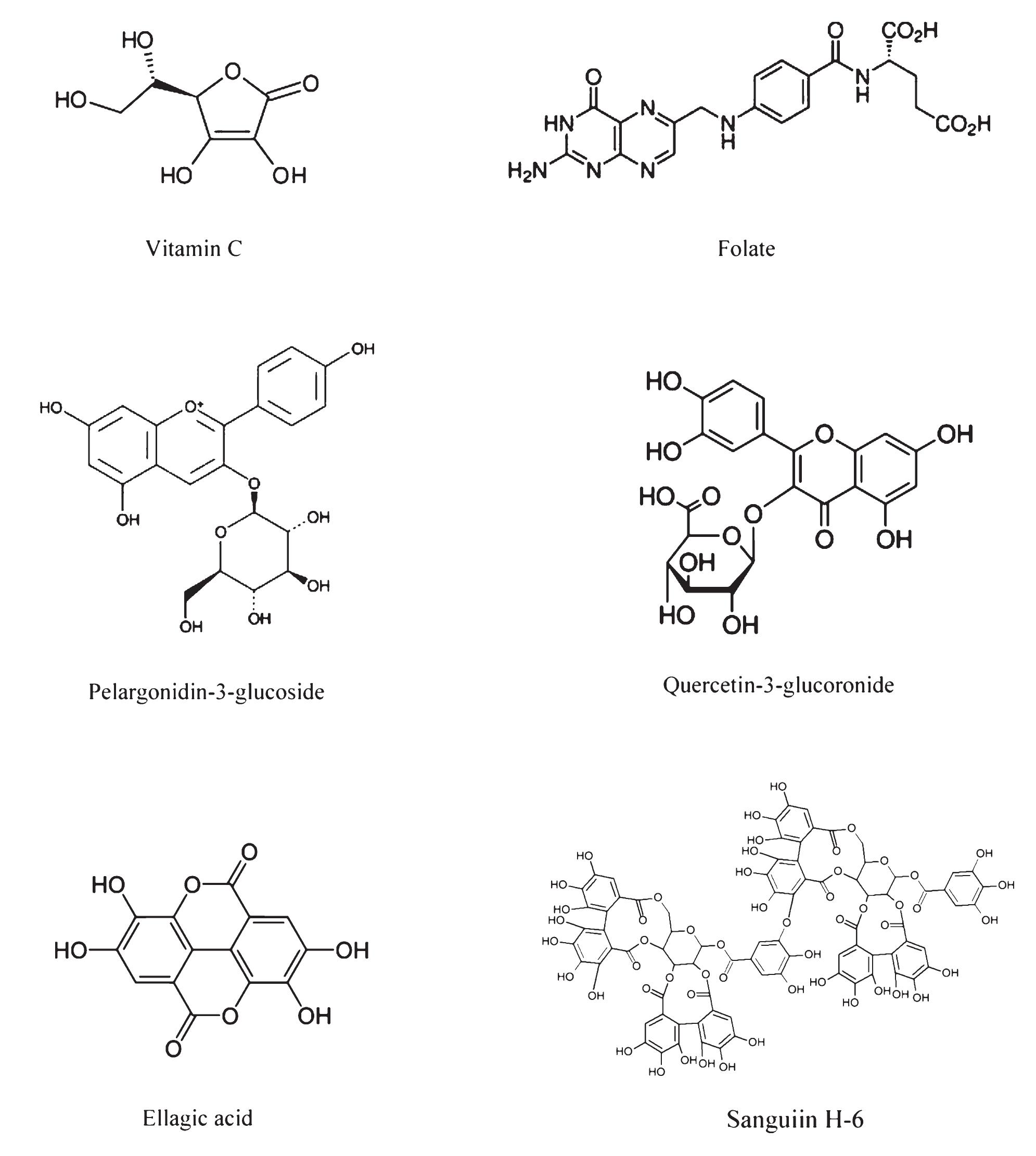 Chemical structures of the most common compounds present in