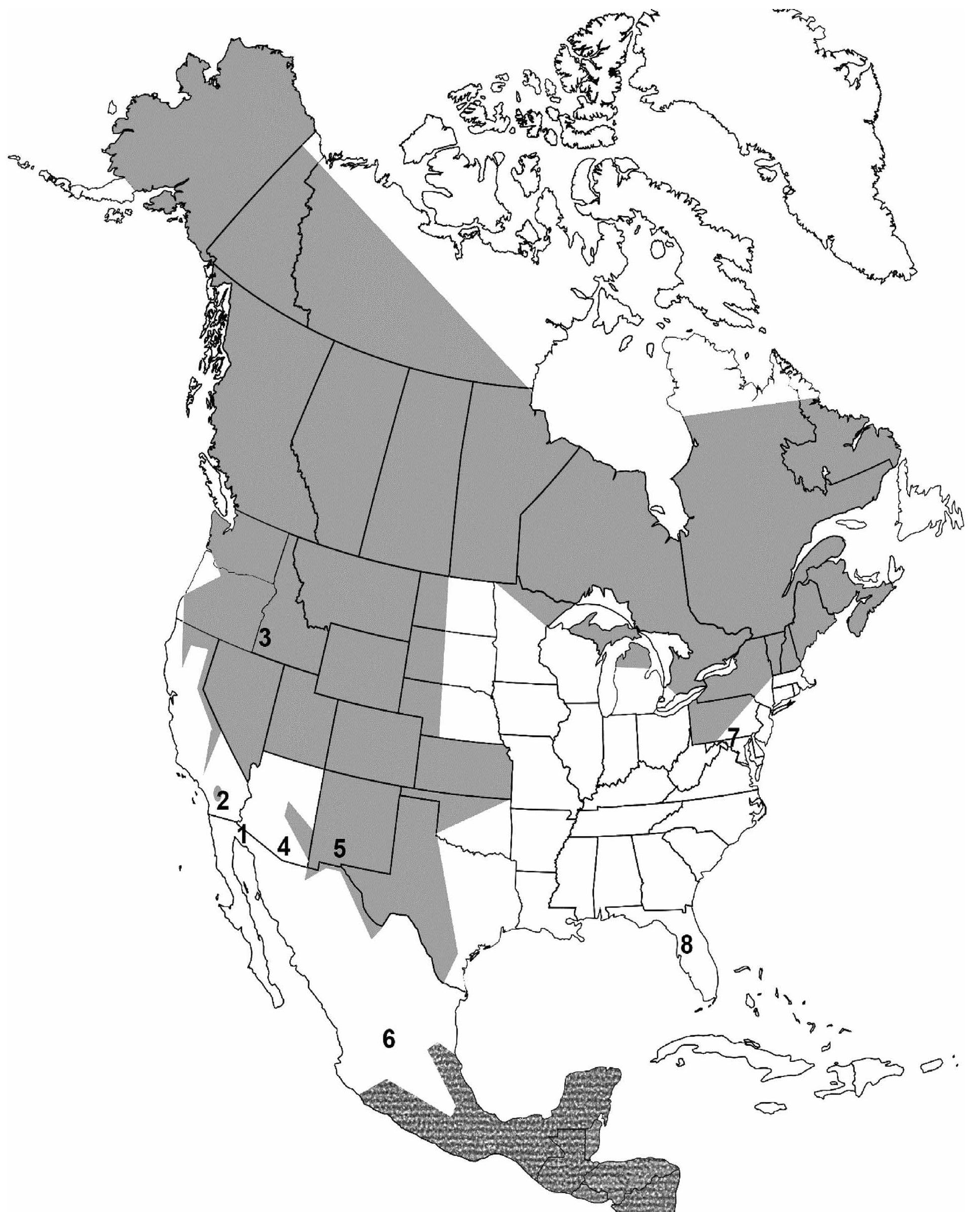 North american map showing distribution of modern erethizon
