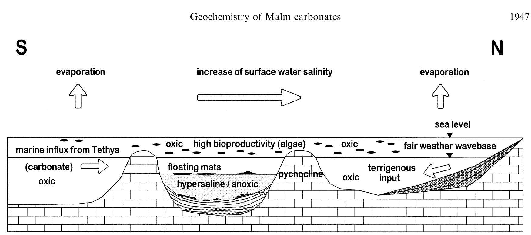 Schematic diagram of the depositional setting during malm