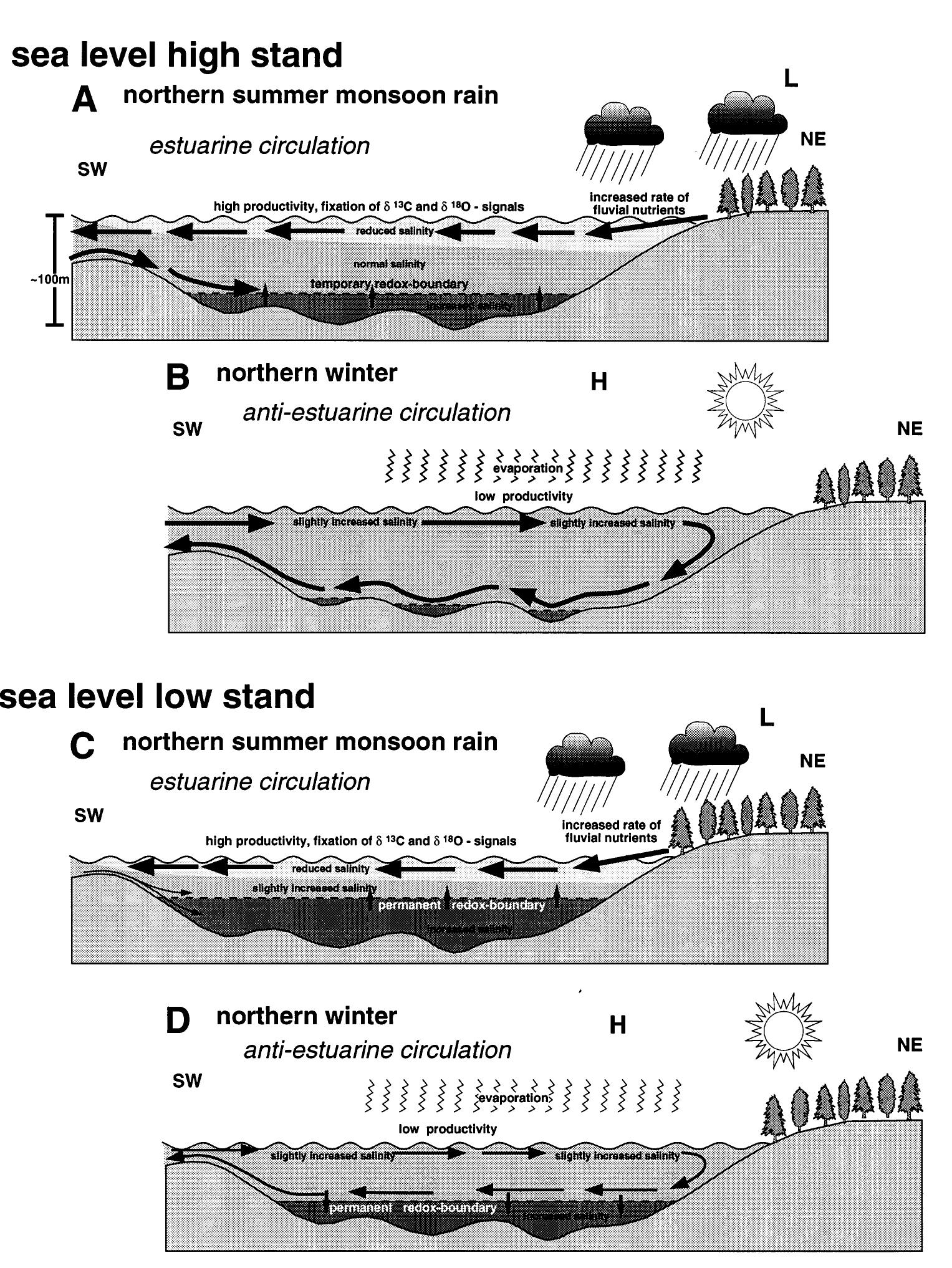 Figure 16 - from The Posidonia Shale (Lower Toarcian) of