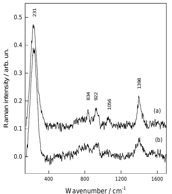 Ft-raman spectra of polymer films containing ag clusters in