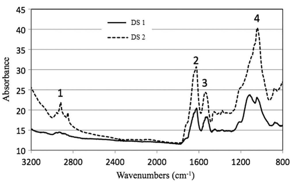 Ftir spectra of eps from ds1 and ds2 biofilms. peak 1, —ch-—