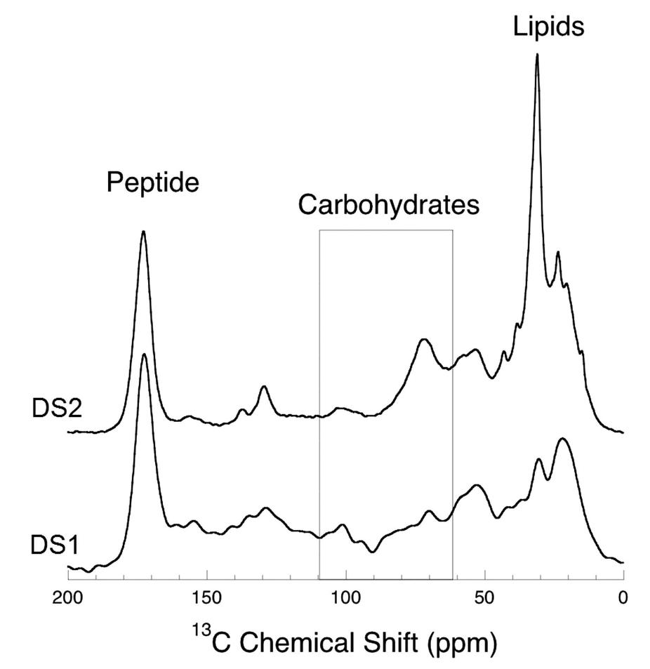 Solid-state '*c nmr spectra of eps from ds1 and dsz