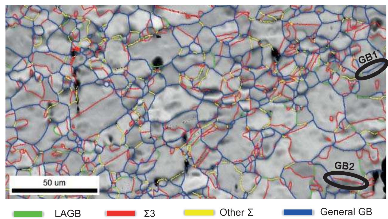 Overlay of ebsd image-quality map with a color-coded gb