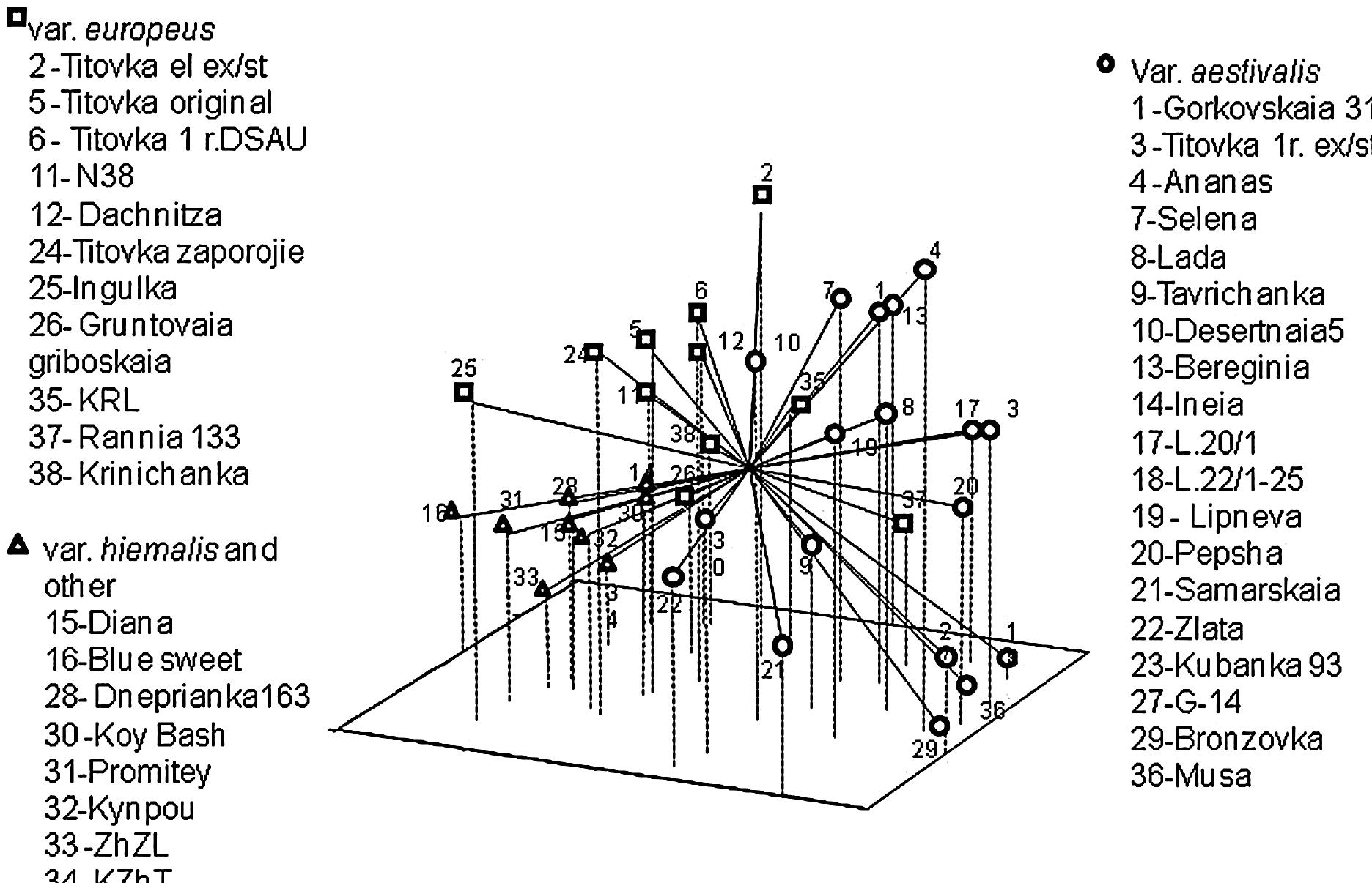 Principal component analysis depicting relationships of the
