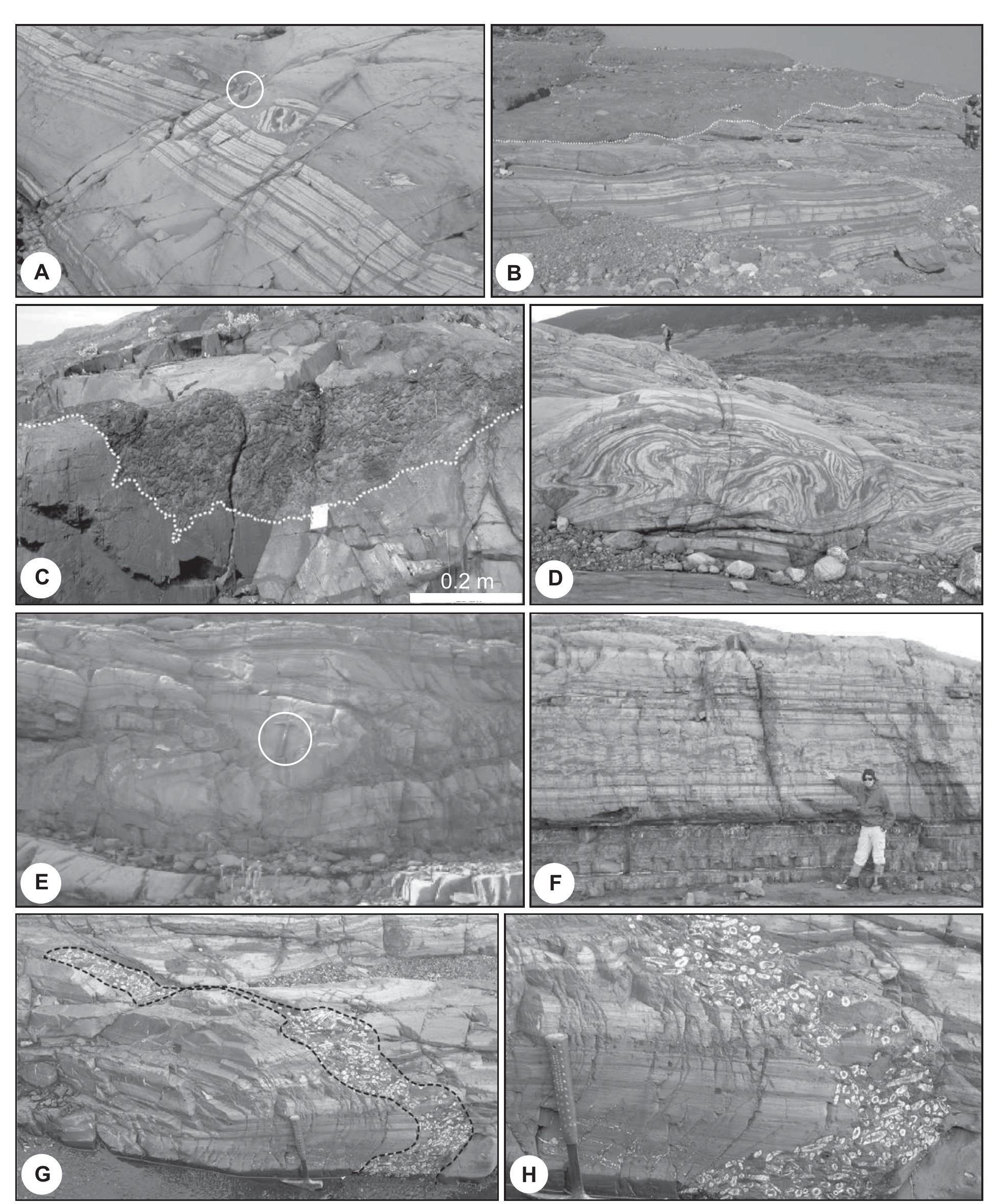 (a) rip-up clasts and brecciation of laminae and beds