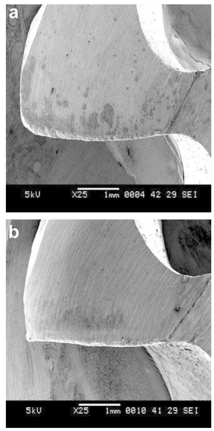 Sem photographs of drill flank wear in dry cutting a peck