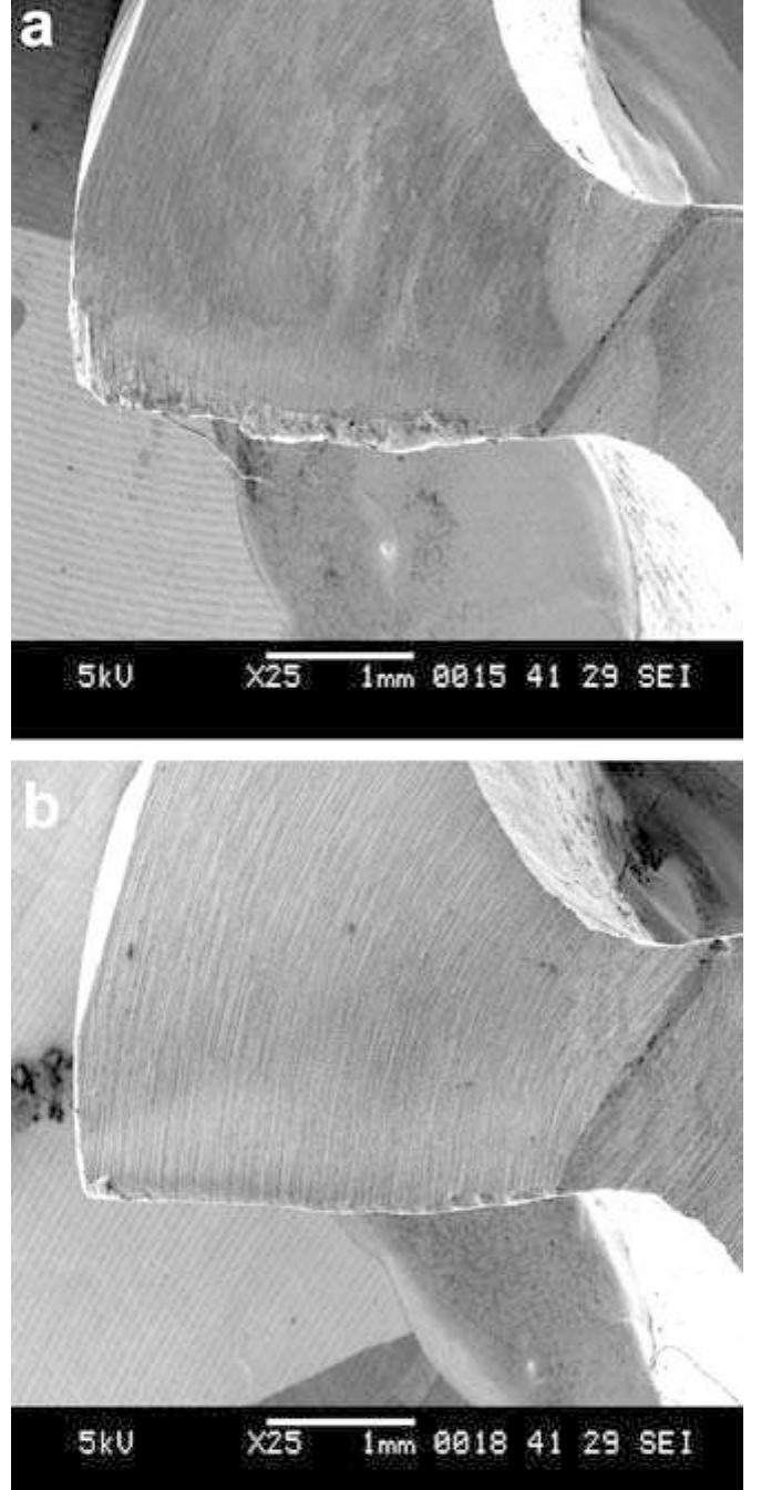 Sem photographs of drill flank wear in wet cutting a peck