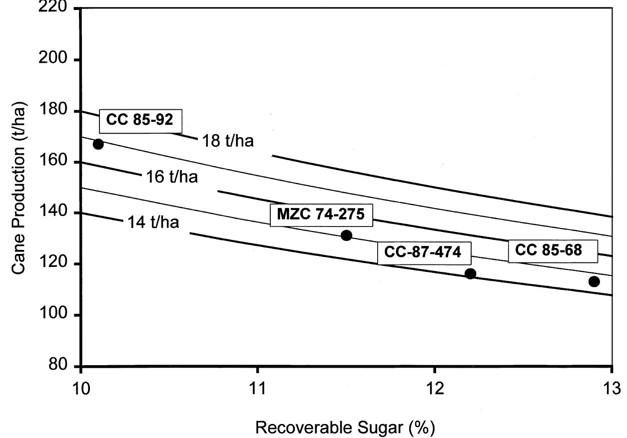 Cane production and isolines of sugar production per hectare