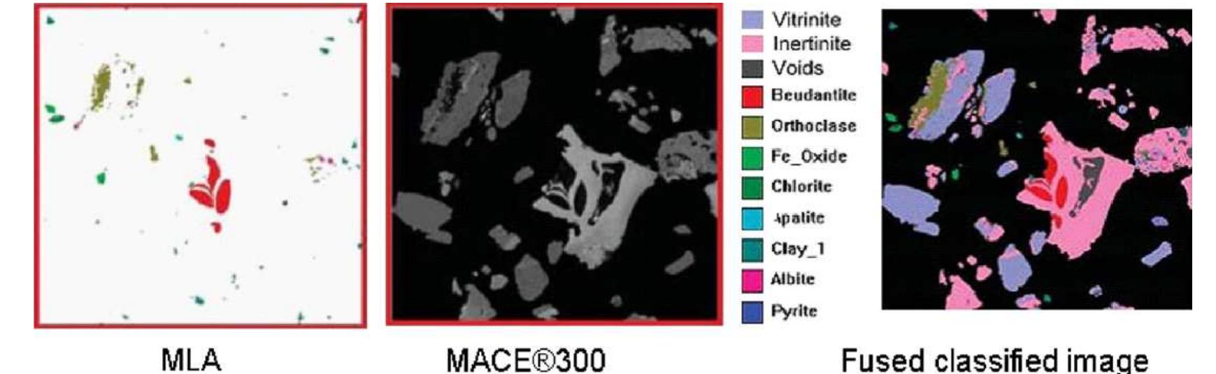 Fusion of images from light microscopy and sem. filtering