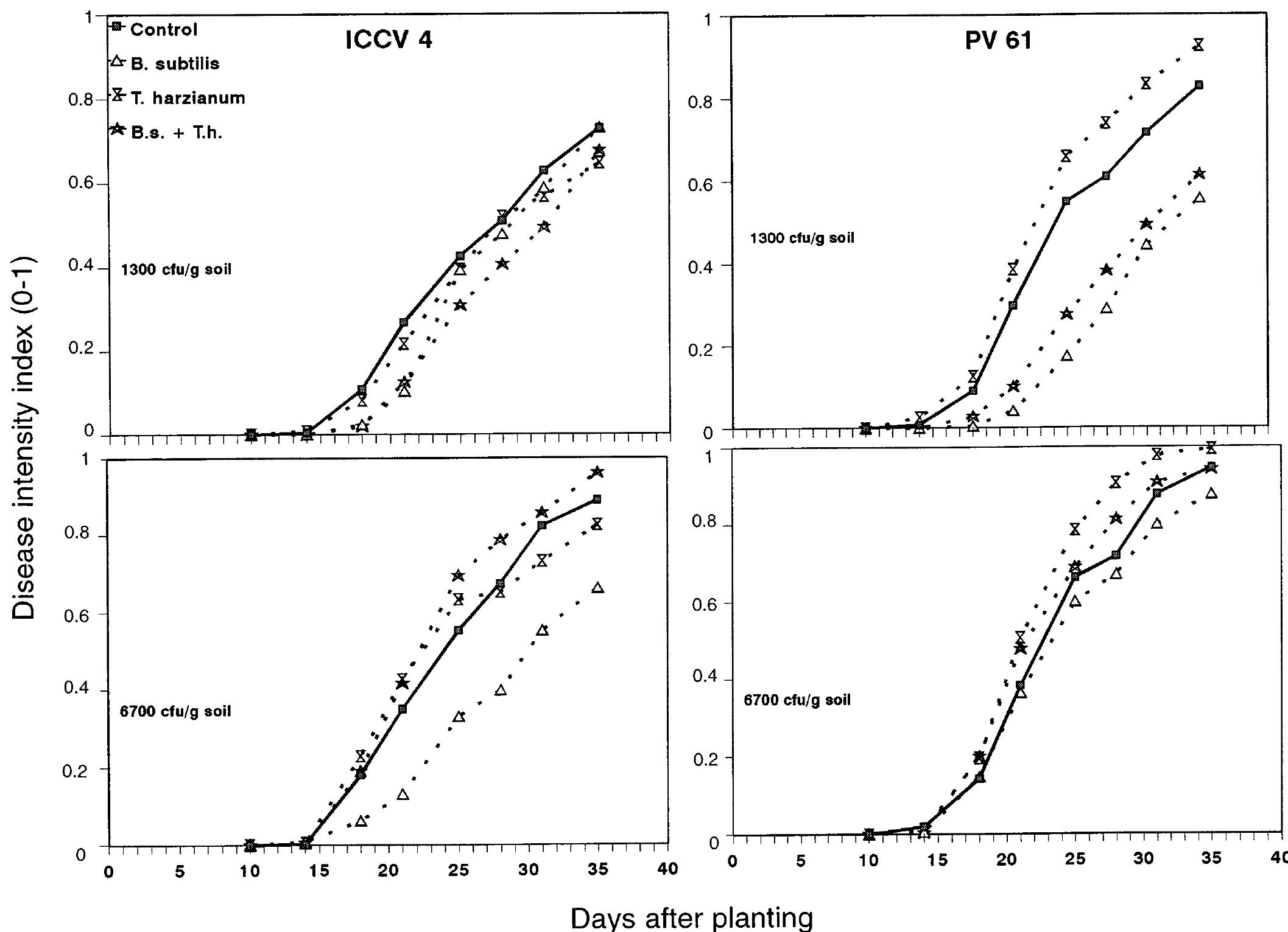 Effect of bacillus subtilis isolate gbo3 and trichoderma